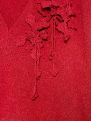 Alberta Ferretti Floral-appliqué V-neck Sweater