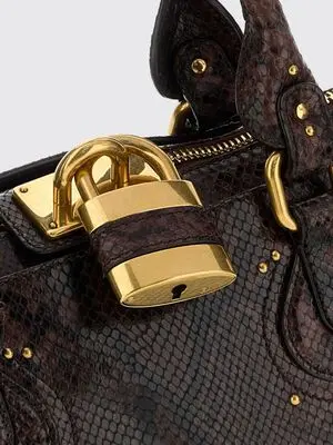 Chloé Crossbody Bag Colour
