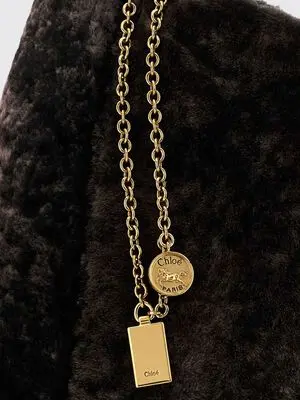 Chloé Handbag Colour