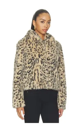 MOTHER The Hooded Polar Opposite In . Also