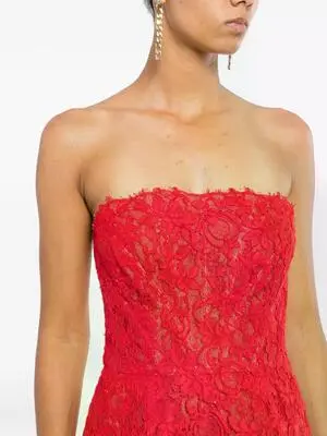 Monique Lhuillier Strapless Lace-embroidered Dress