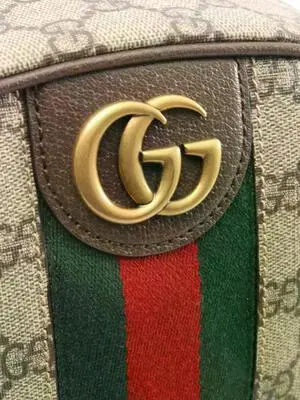 Gucci 2016-2026 Medium Gg Supreme Ophidia Backpack