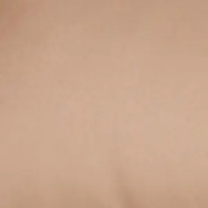 Max Mara High-neck Puffer Jacket