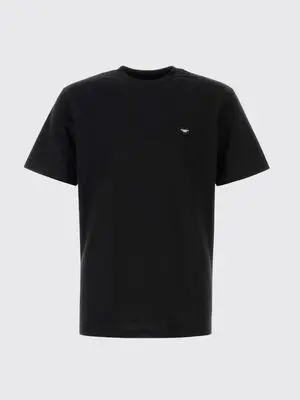 Carhartt Work In Progress T-shirt Colour