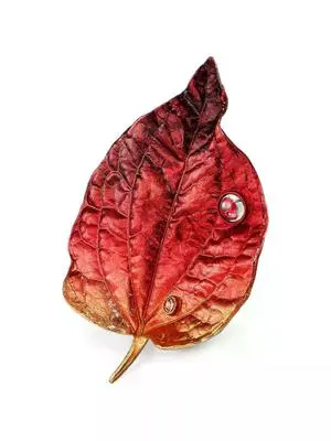 ANABELA CHAN Autumn Leaf Brooch