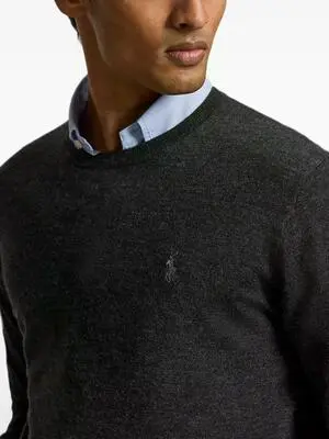 Polo Ralph Lauren Washable Wool Crewneck Jumper