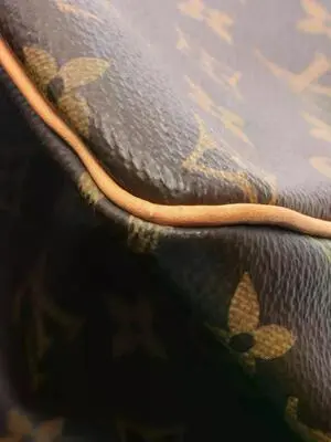 LOUIS VUITTON Speedy 30 Boston Bag