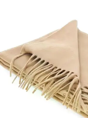Max Mara Fringed Logo-embroidered Scarf