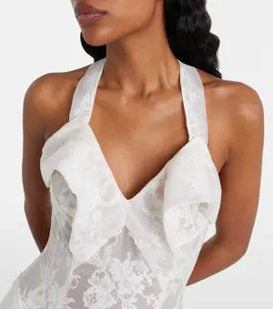 Alexander McQueen Sheer Silk Lace Gown