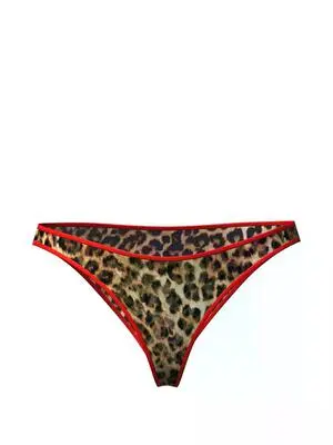SCANDALE Sauvage Leopard-print Briefs - Brown