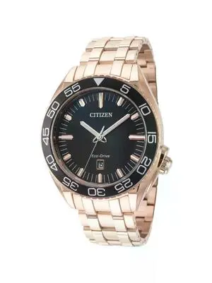 Citizen Eco-drive Bracelet Watch - Black