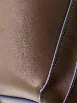 Celine Belt Bag Calfskin Mini Satchel
