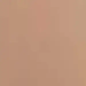 Dita Titanium Aviator Sunglasses