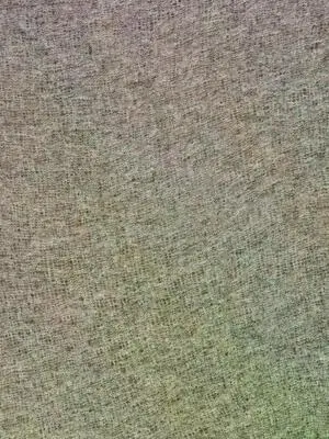 PURSCHOEN Frayed-edge Scarf