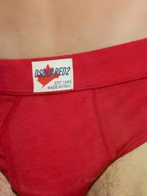 Dsquared2 Ski Pass Logo-patch Wool Briefs