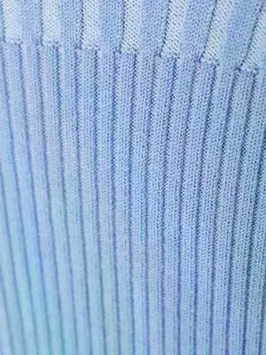 Iceberg Ribbed-knit Cropped Top