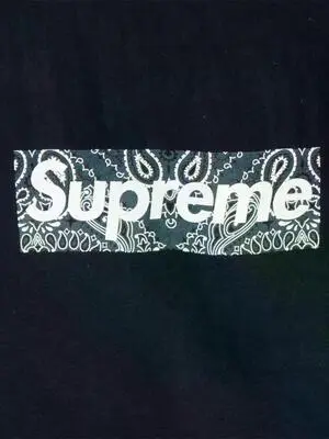 Supreme Bandana Box Logo T-shirt