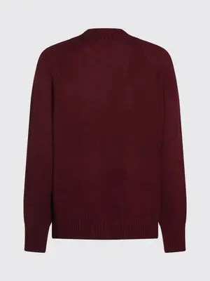 ALLUDE Jumper Colour - Brown