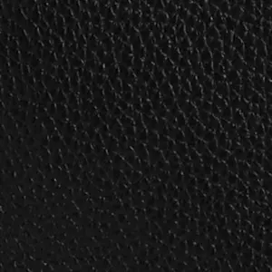Bottega Veneta Leather Diago Backpack