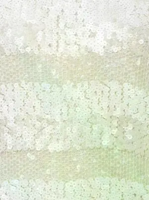 LOUIS VUITTON Sequin Embellished Crew Neck Sweater