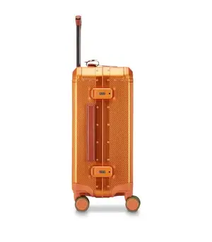 DELSEY Alur Spinner Suitcase