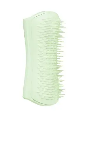 TANGLE TEEZER Puppy Detangling Grooming Brush - Green