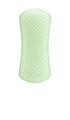 TANGLE TEEZER Puppy Detangling Grooming Brush - Green