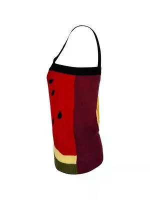 Loewe Paula’s Ibiza Intarsia Tank Top