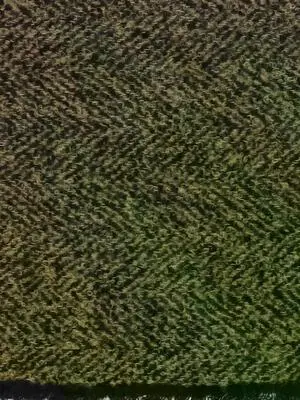 Faliero Sarti Resky Herringbone-pattern Scarf