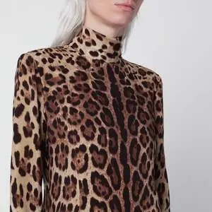 Dolce & Gabbana Long Leopard Print Silk Blend Dress