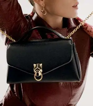 Cartier Nano Panthère Graphique De Chain Bag