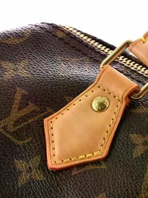 LOUIS VUITTON Speedy Handbag Monogram Canvas Satchel
