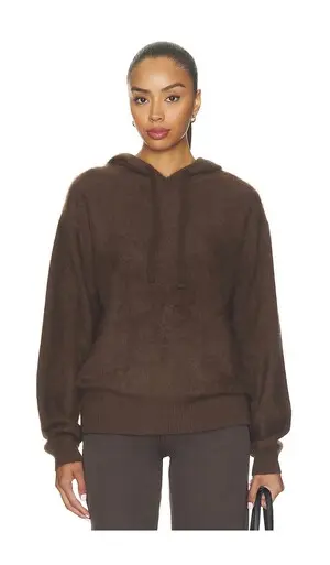 ALIGNE Illaria Brushed Wool Hoodie In . Also - Brown