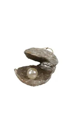 CODY FOSTER & CO Oyster With Pearl Ornament - Multi