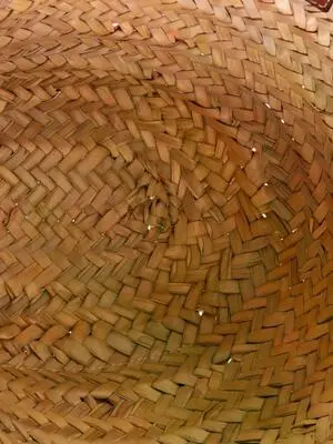 Loewe Basket Raffia Small Tote Bag