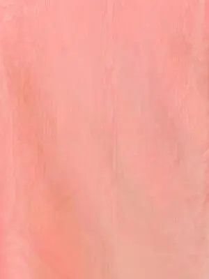 LADY ANNE Rectangular-shape Scarf - Pink