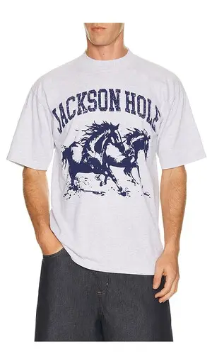 DIAMOND CROSS RANCH Blue Horses Tee In . Also - Grey