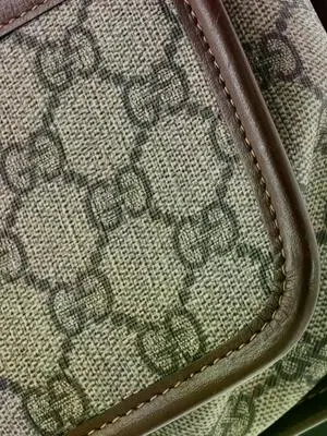 Gucci Interlocking G Patch Camera Bag Gg Coated Canvas Mini Crossbody Bag