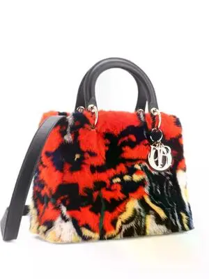 Dior Lady Bag Limited Edition Printed Mink Medium Satchel - Multicolour