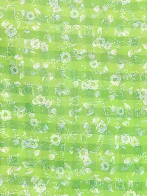 Loewe Floral-print Gingham Scarf