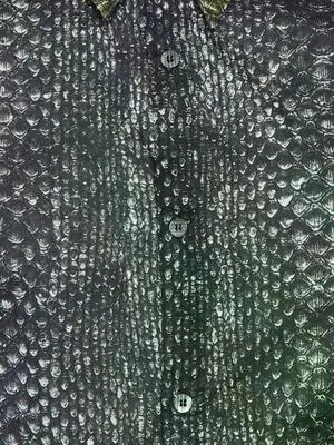 Roberto Cavalli Snakeskin-print Slim-fit Shirt