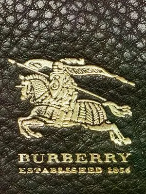 Burberry Check-pattern Buckle Wallet