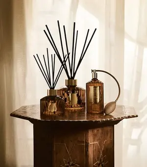 TRUDON Altaïr Diffuser