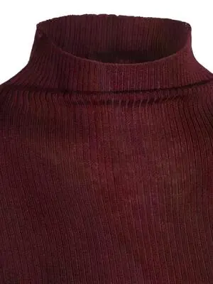 TWINSET Ribbed-knit Roll-neck Sweater
