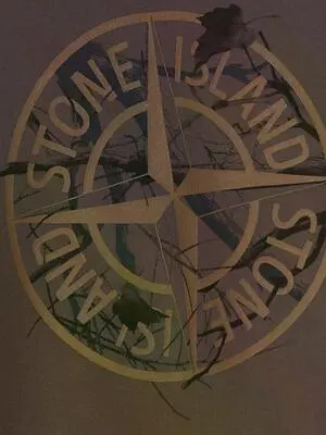 Stone Island Logo-print Sweatshirt - Brown