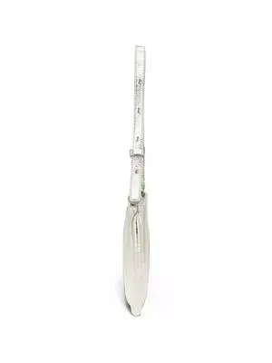 THEMOIRE Ebe Metallic Shoulder Bag