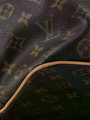 LOUIS VUITTON Palermo Handbag Monogram Canvas Gm Tote Bag