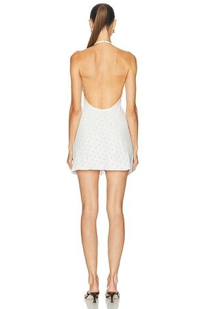 Miu Miu Cady Sangallo Dress