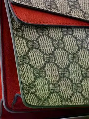 Gucci Dionysus Bag Gg Coated Canvas Small Shoulder Bag