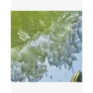 Loewe Verdant Grove Eau De Parfum